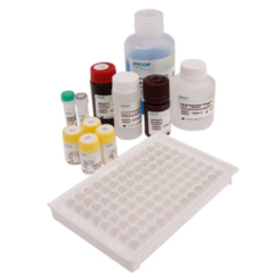 ELISA Assay Kits | AUTOSTAT II | Medical Equipment and devices for ...