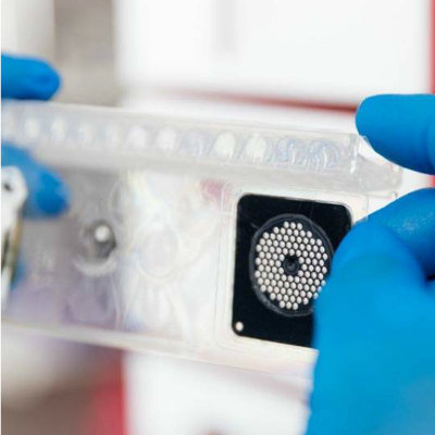 Respiratory Panel | BioFire® Respiratory 2.1 (RP2.1) Panel (EUA ...